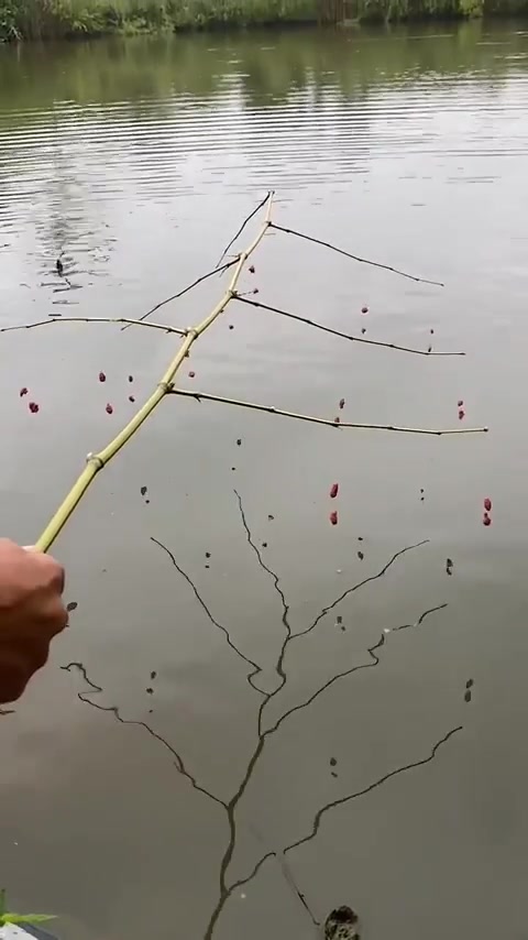 The Art of Fishing: A Timeless Hobby | [meme.am]