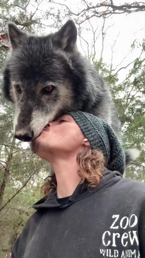 A Heartwarming Bond: A Man and His Loyal Best Friend | [meme.am]