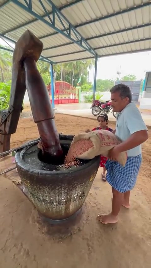 The traditional oil mill powered by oxen: a glimpse into ancient ...