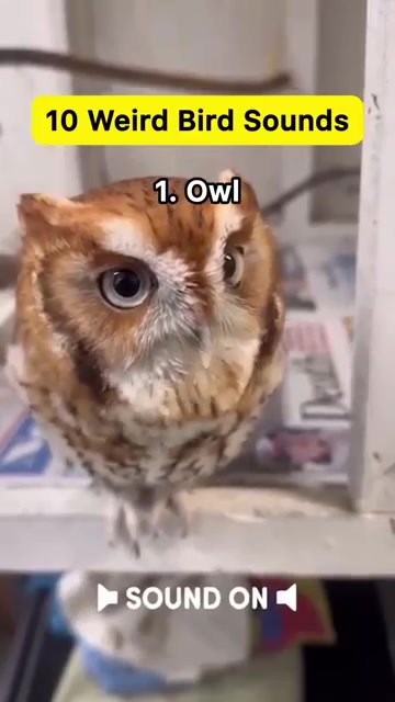 Decoding the signs: Which one says 'stay out' and which one is for ...