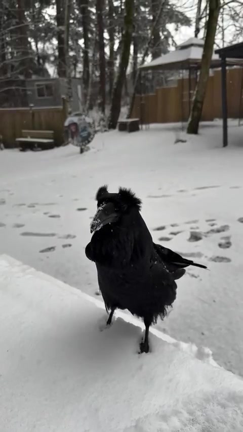 He’s All Set and Ready to Go! | [meme.am]