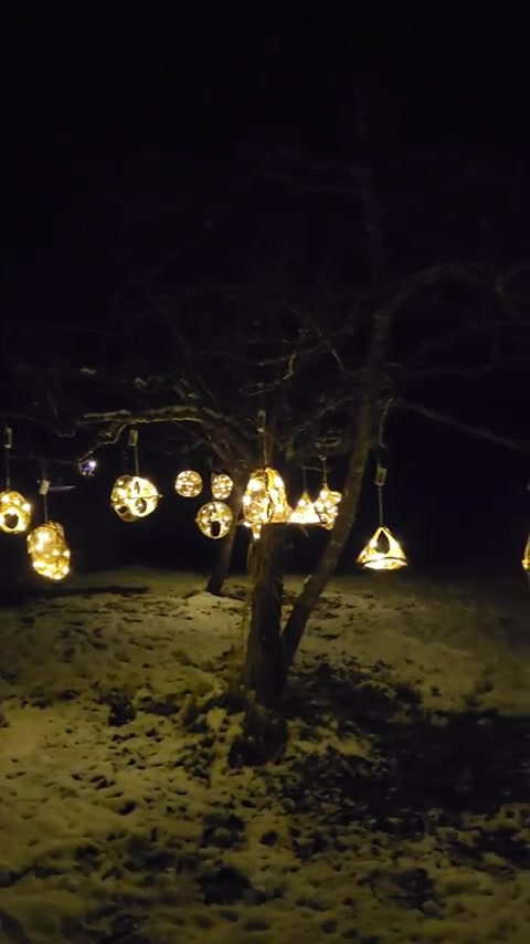 Showcase 2025: A Glimpse into the Future | [meme.am]