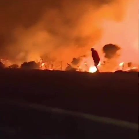 Bugs's Ultimate Hero: A Tribute to the Iconic Character | [meme.am]