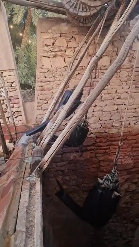 Innovative Irrigation Techniques Explained | [meme.am]