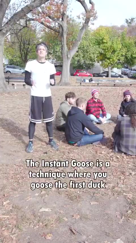 The Instant Goose Encounter You Didn T Know You Needed Meme Am