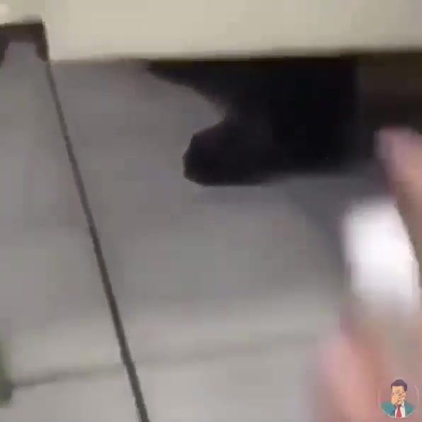 The Mini-Dump Experience with Sound Effects! | [meme.am]