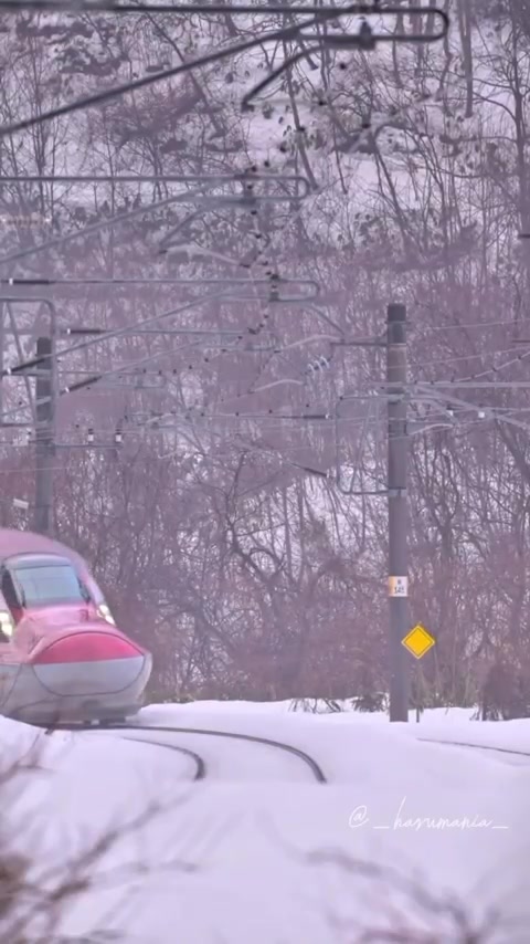 The Majestic Snowy Shinkansen in Japan... | [meme.am]