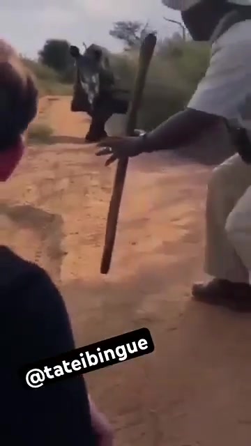 When the Guide Mimics Marking Territory | [meme.am]