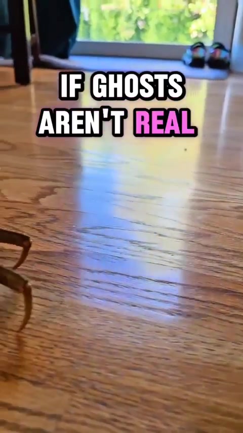 Ghosts Are Totally Real, and Here's Why | [meme.am]