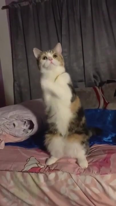 A Glimpse Inside Doug's House... | [meme.am]