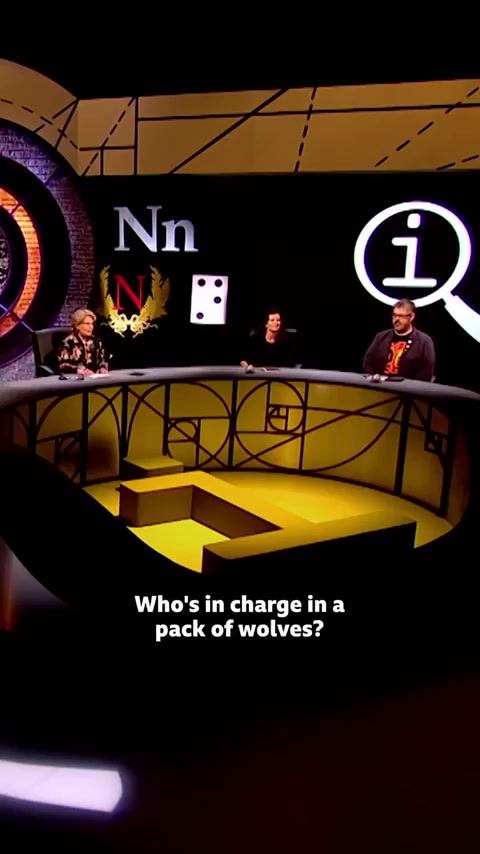 The hierarchy of alpha, beta, and beyond | [meme.am]